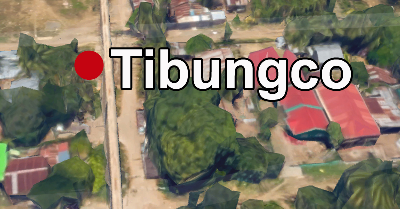 TIBUNGCO-copy - RMN Networks