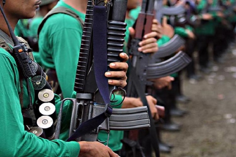 npa-guerilla-fighters_2 - RMN Networks