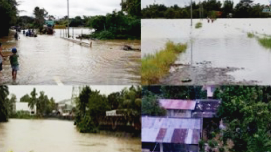 STATE - RMN Networks