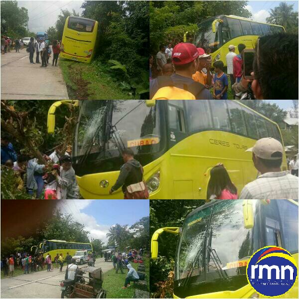 RORO-BUS - RMN Networks