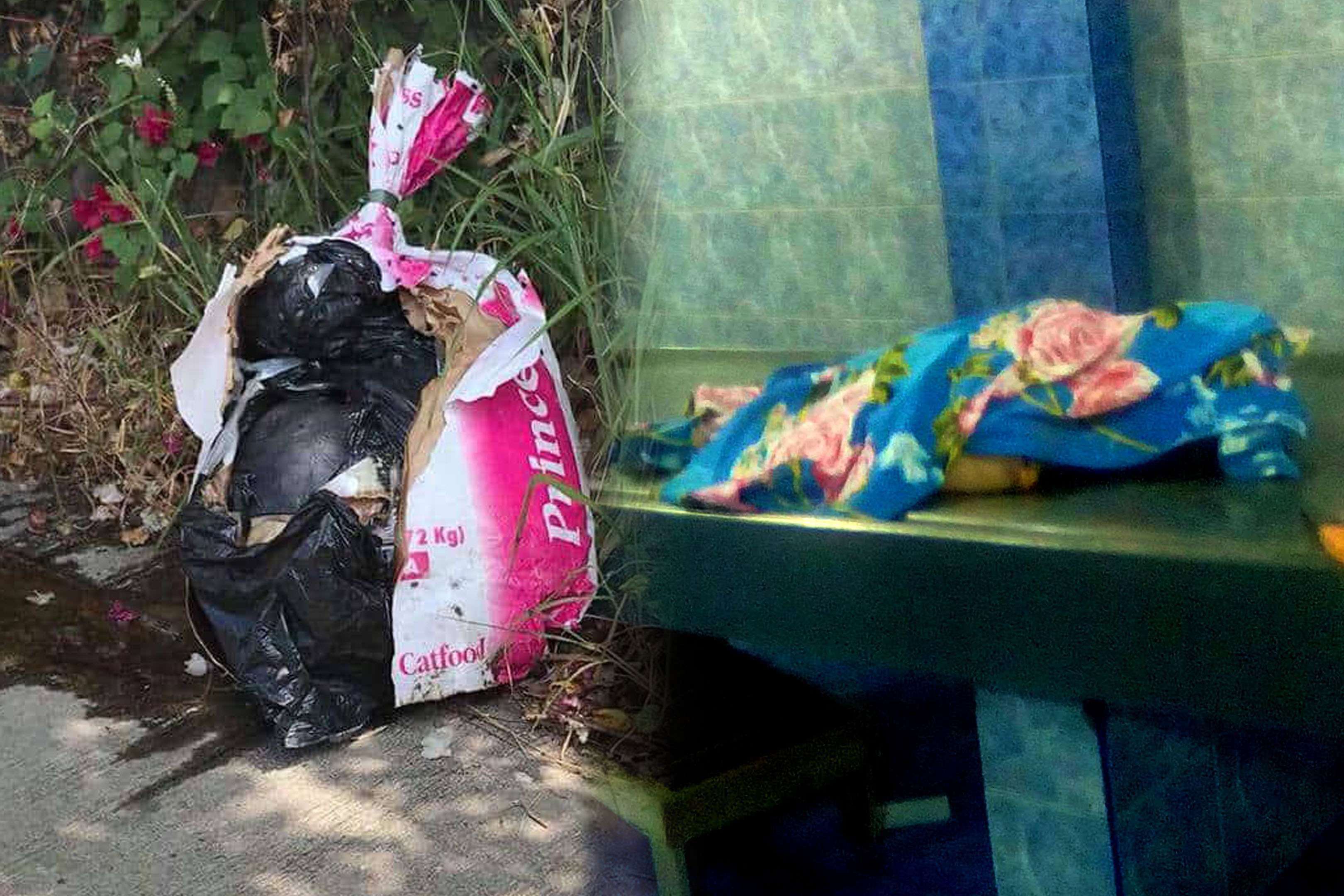 CHOP-CHOP-BODY-PARTS - RMN Networks