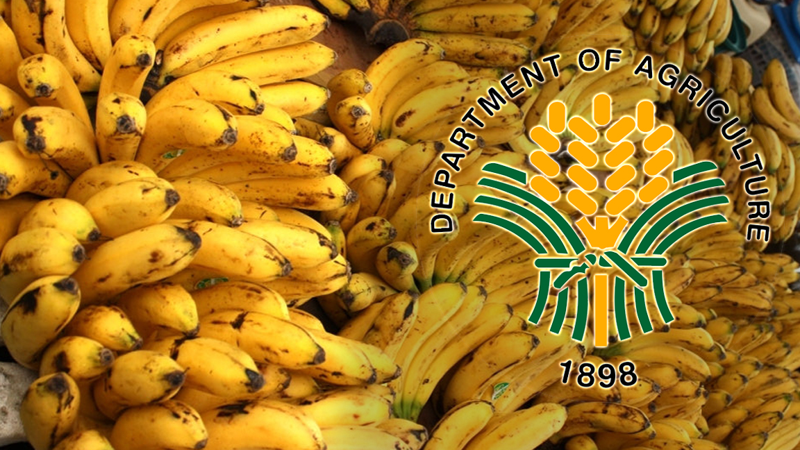 SAGING-DA - RMN Networks