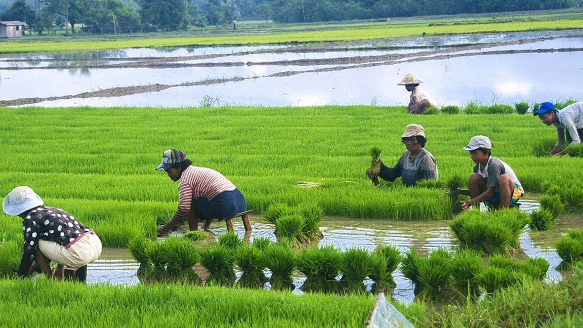 LAND REFORM PROGRAM - RMN Networks