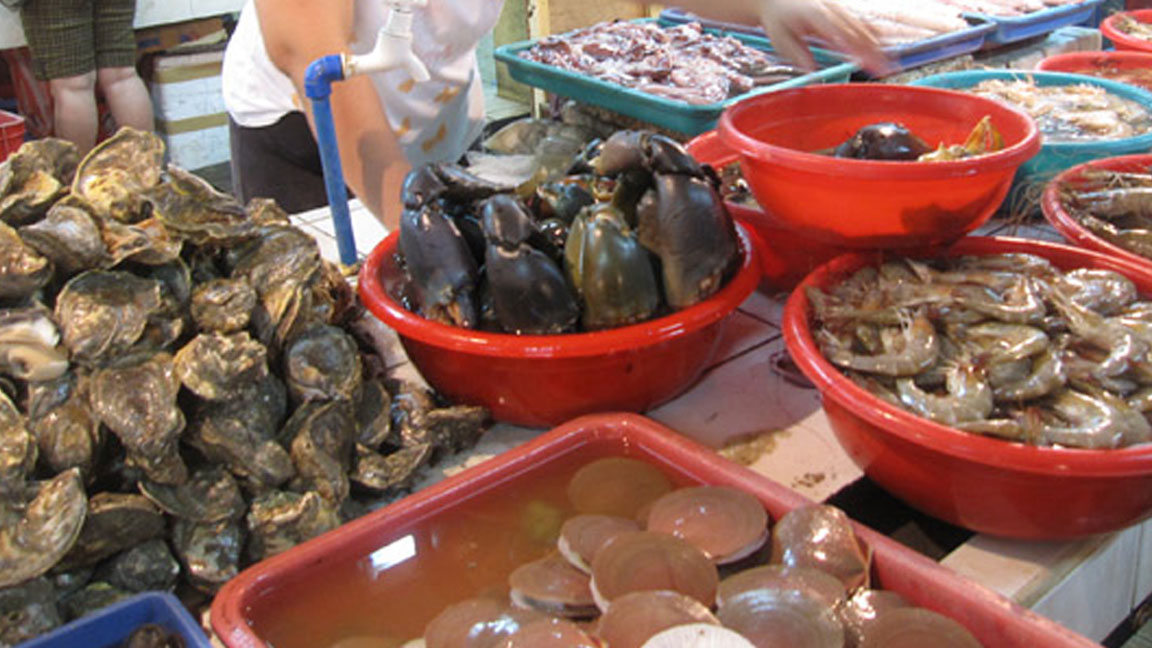 SEAFOOD SHELL - RMN Networks