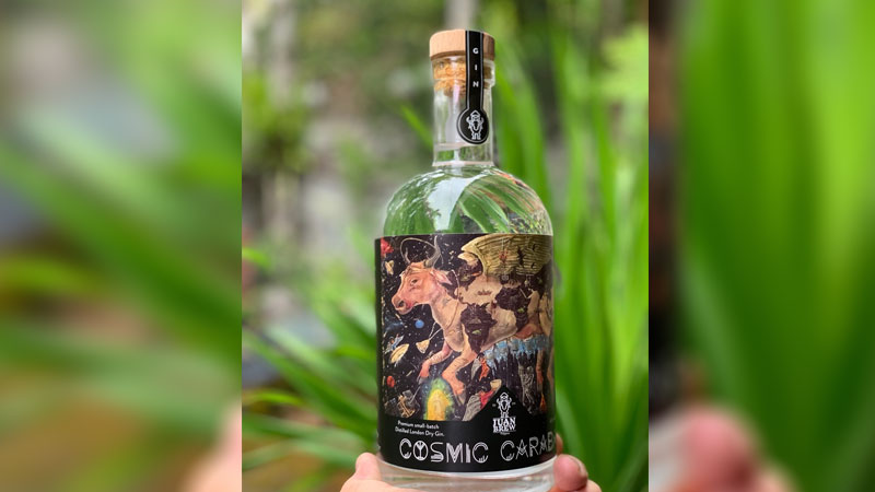 cosmic-gin - RMN Networks