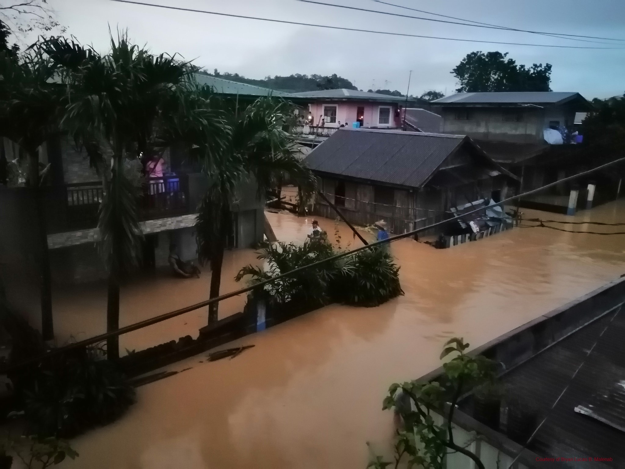 lumikas.jpg - RMN Networks