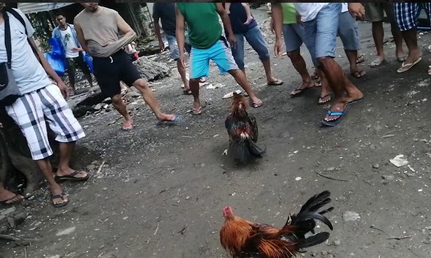 tupada-1.jpg - RMN Networks