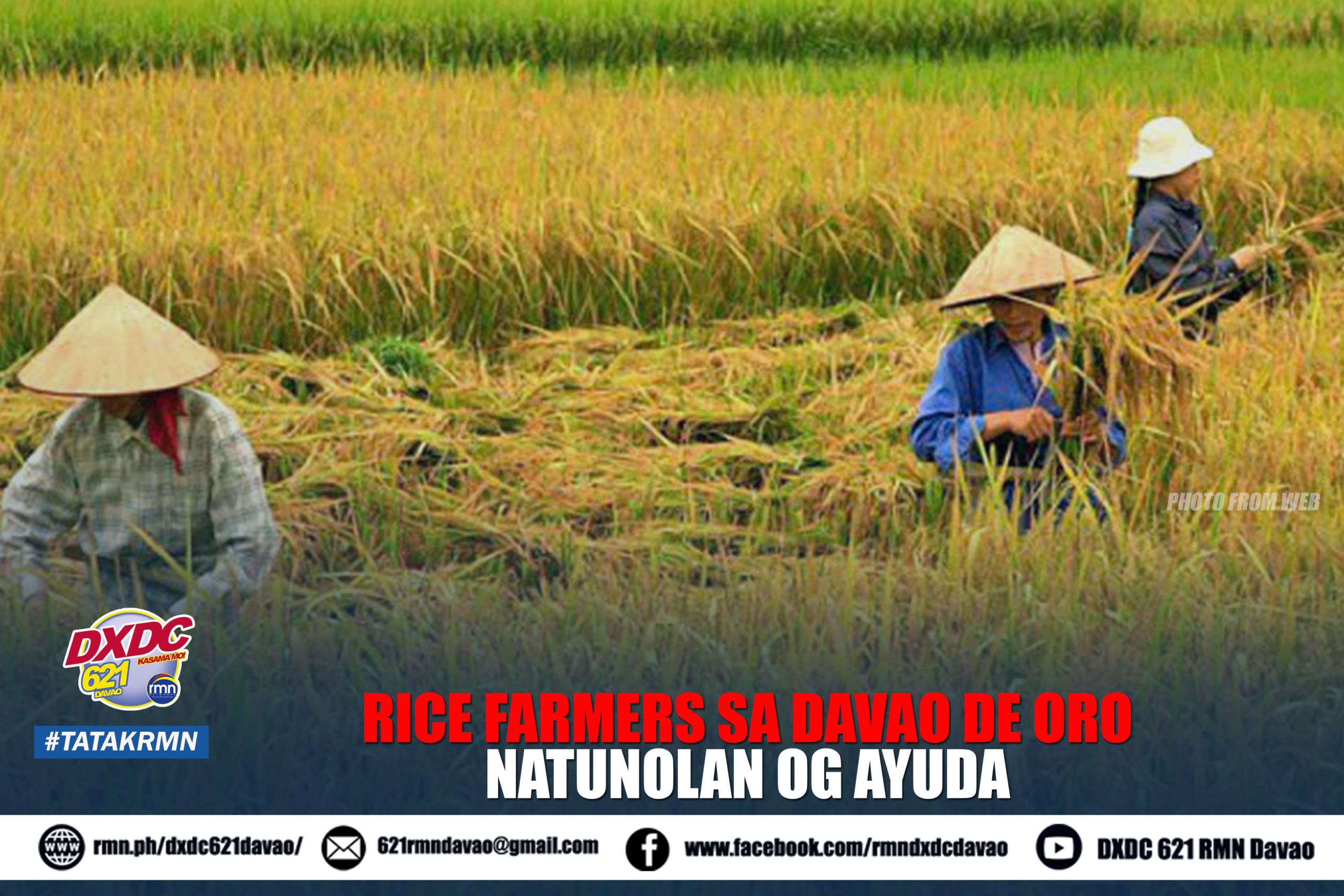 RICE-FARMERS.jpg - RMN Networks