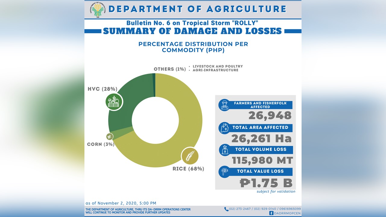 Pinsala sa sektor ng Agricultura bunga ng Bagyong Rolly, umabot na sa P1.7 billion - RMN Networks