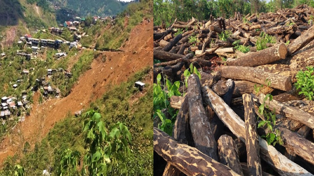 illegal mining & logging - RMN Networks