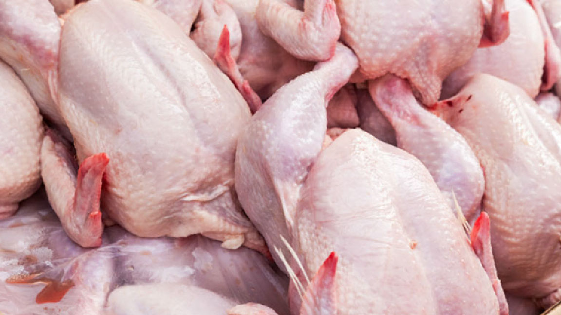 Presyo ng manok, P10 na ang iminahal ayon sa mga poultry farmer - RMN Networks