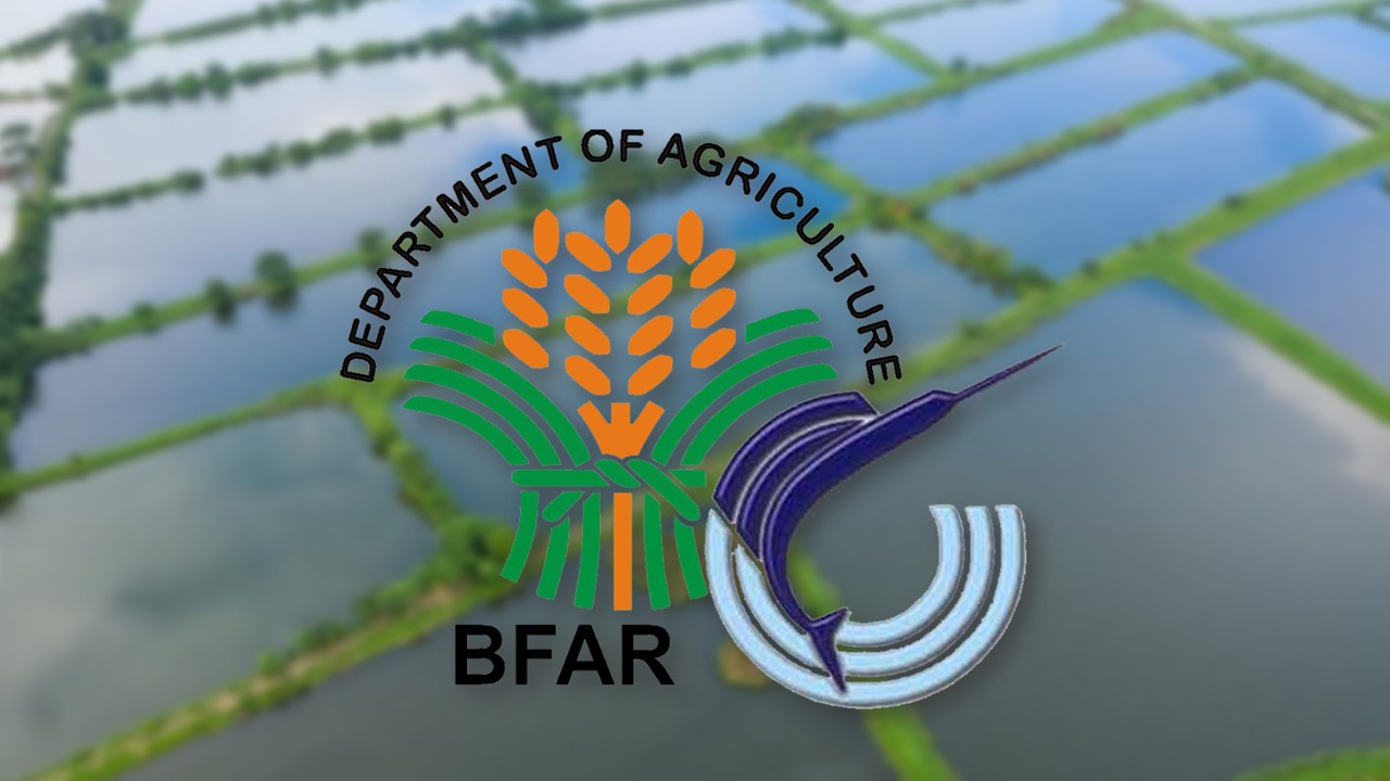 BFAR, sinita sa Senate hearing dahil sa kabiguang magpagawa ng fish ...