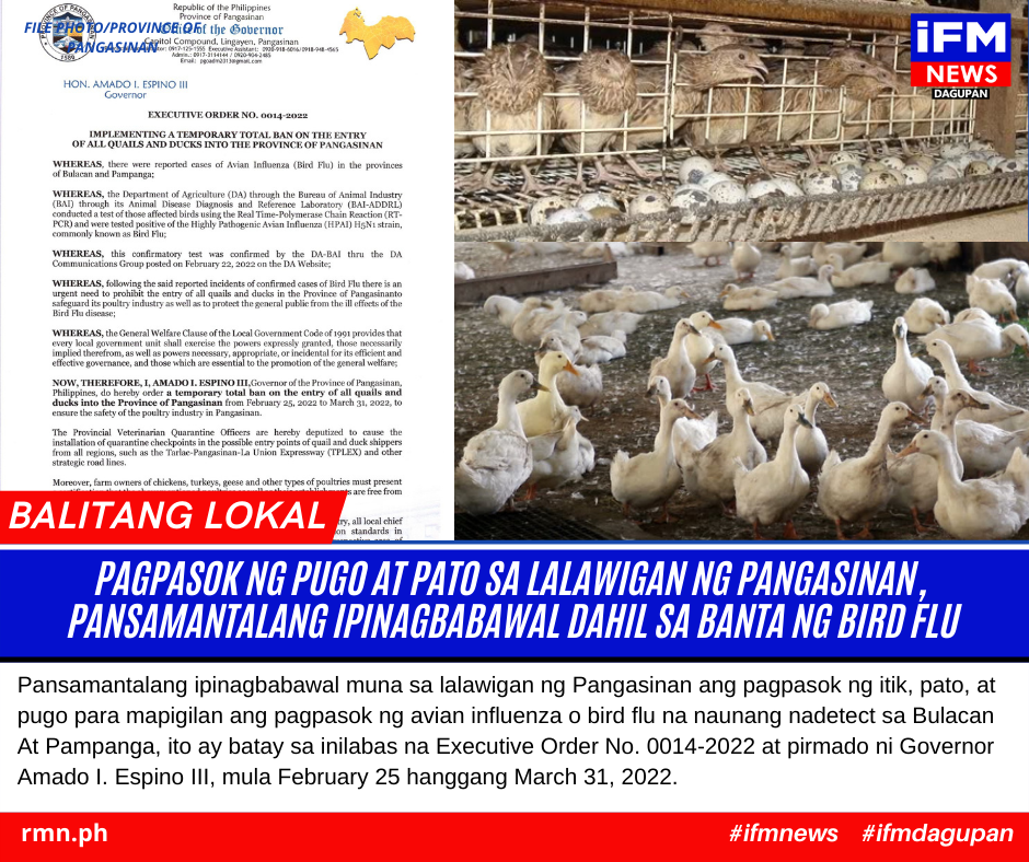 PAGPASOK NG PUGO AT PATO SA LALAWIGAN NG PANGASINAN, PANSAMANTALANG ...