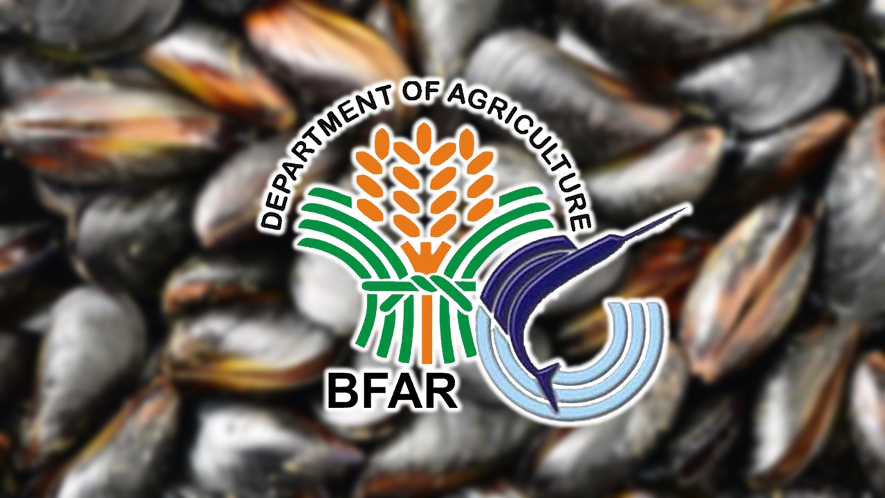 Pagkain ng shellfish sa anim na lugar sa bansa, ipinagbawal ng BFAR ...