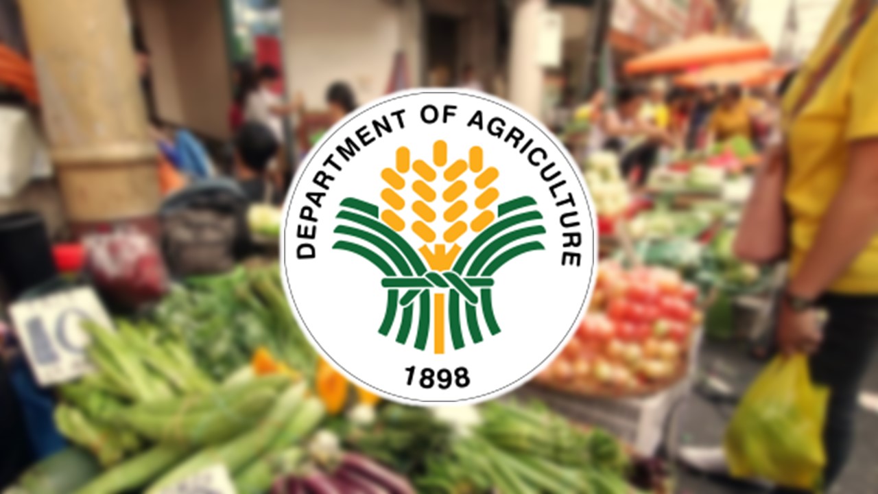 Food security measures sa harap ng Ukraine crisis, pinaghahandaan na ng ...