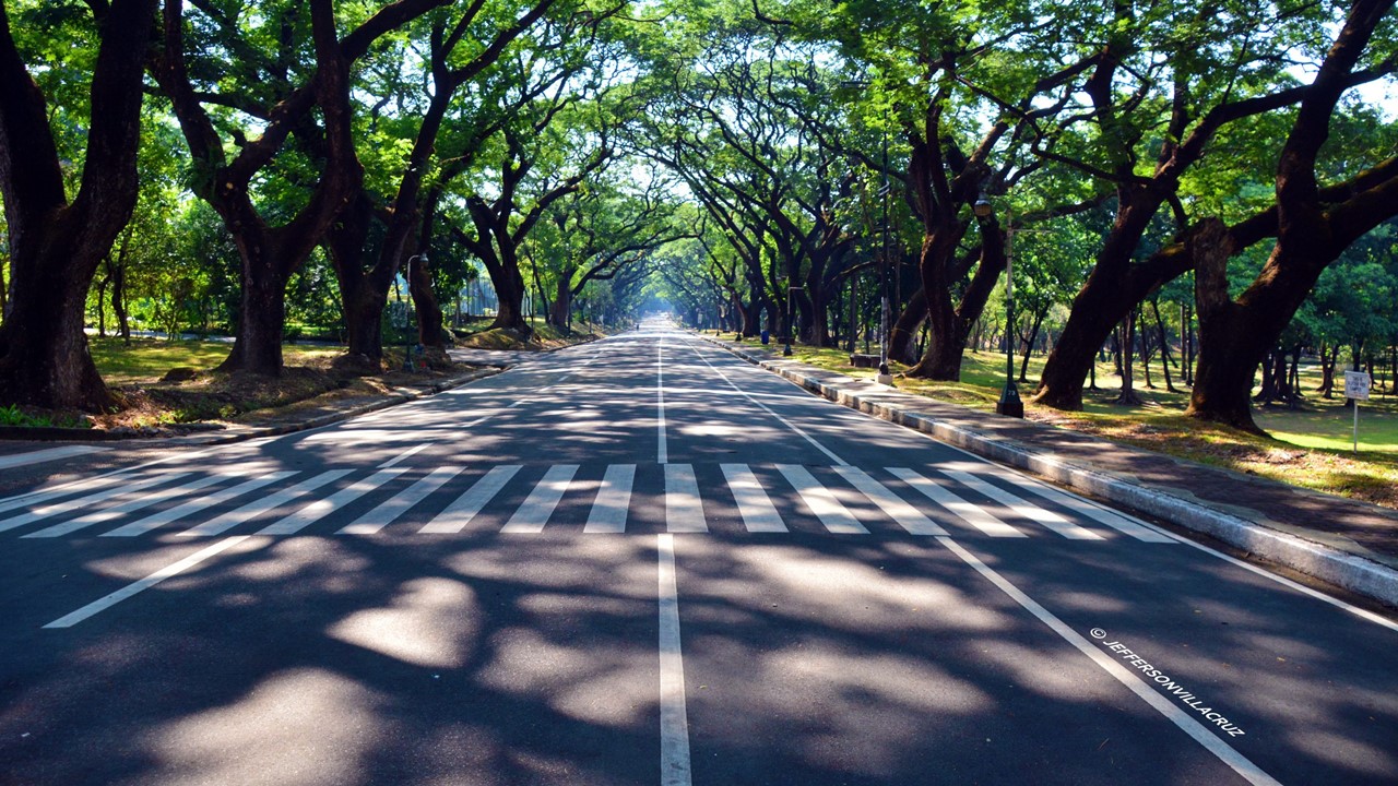 UP Academic Oval sa QC, sarado muna sa publiko hanggang March 22 - RMN ...