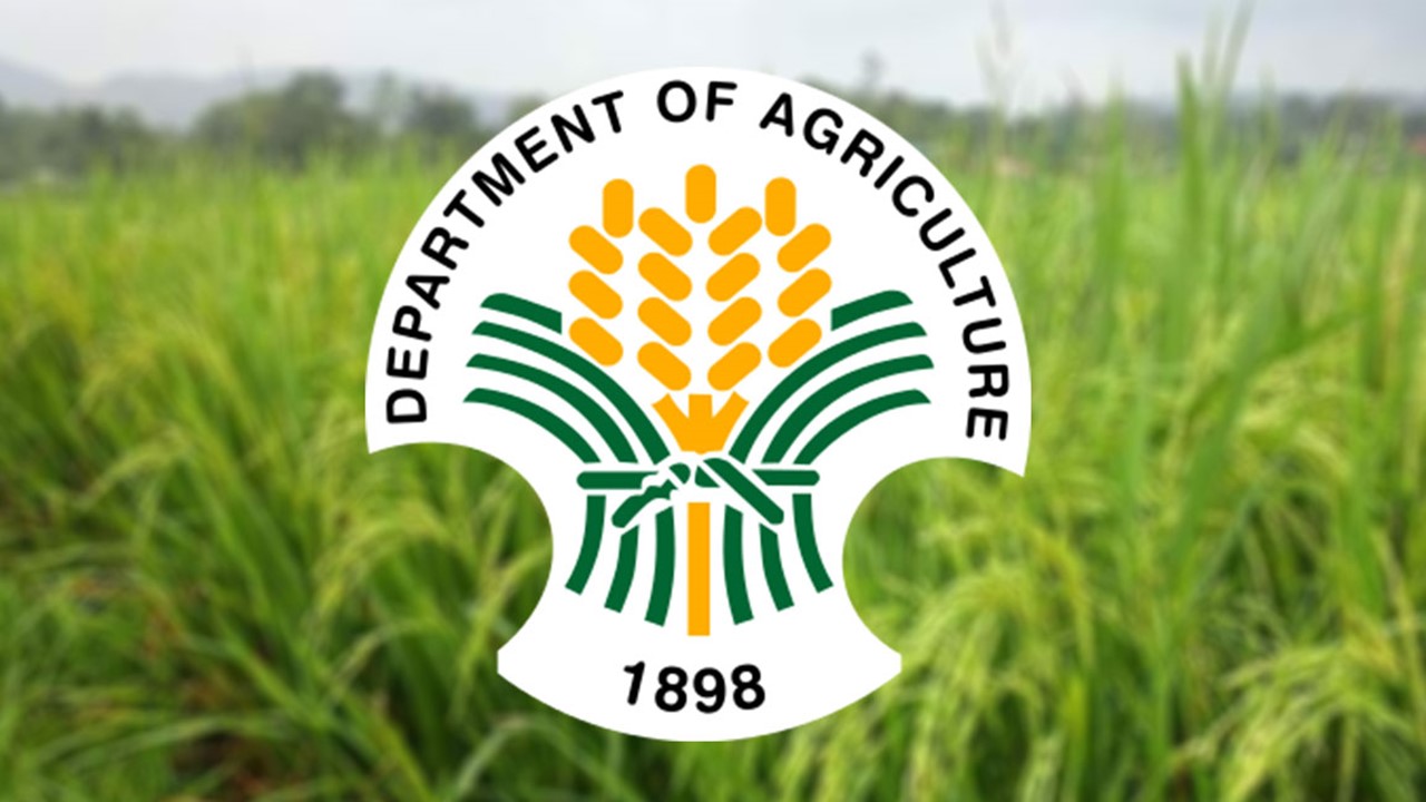 DA Agriculture Chief, pinatataasan sa susunod na administrasyon ang ...