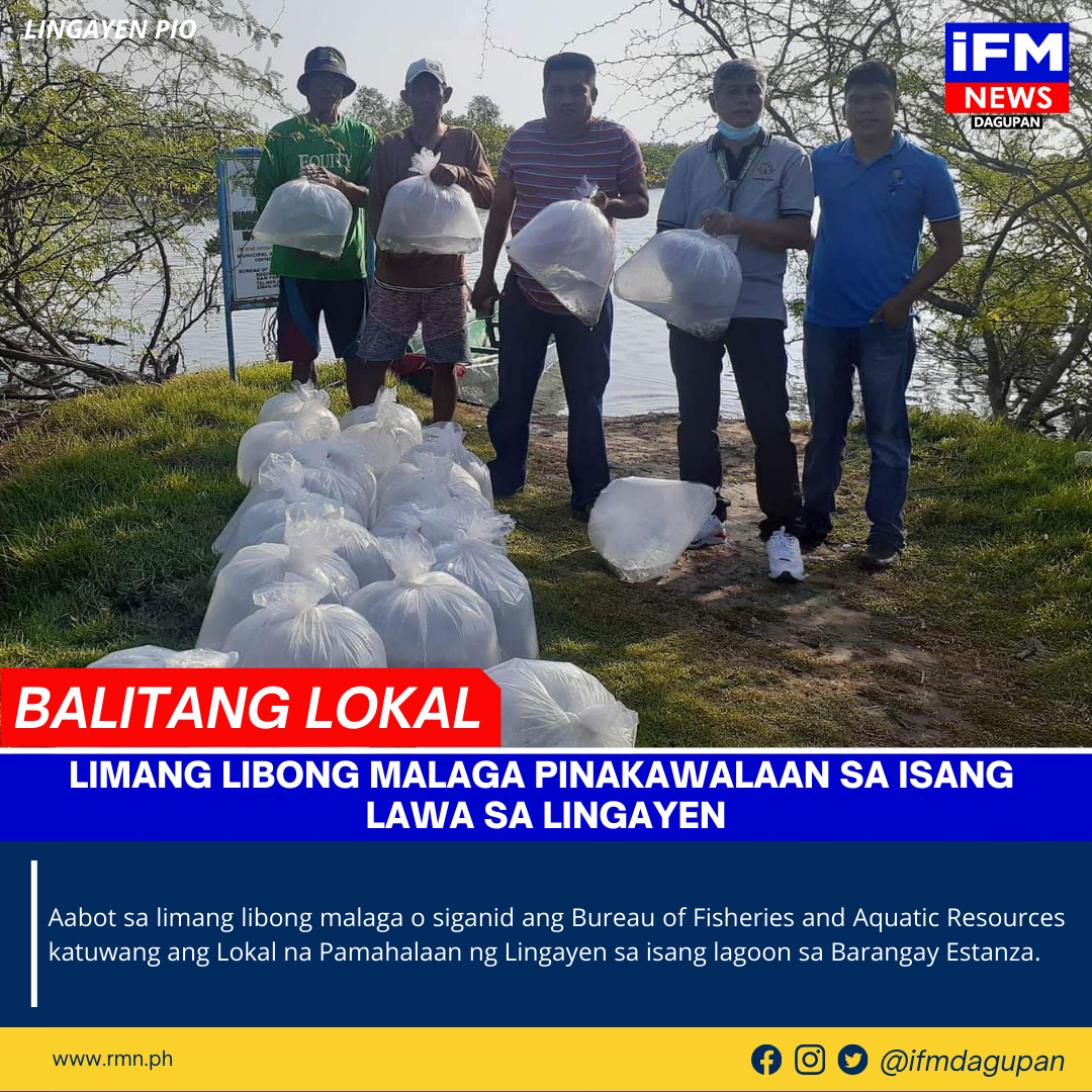 LIMANG LIBONG MALAGA PINAKAWALAAN SA ISANG LAWA SA LINGAYEN - RMN Networks