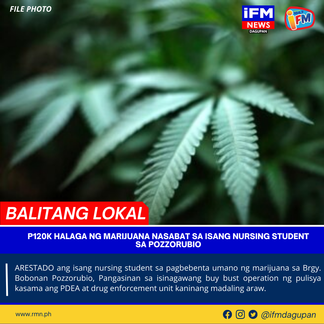 P120K HALAGA NG MARIJUANA NASABAT SA ISANG NURSING STUDENT SA POZZORUBIO - RMN Networks