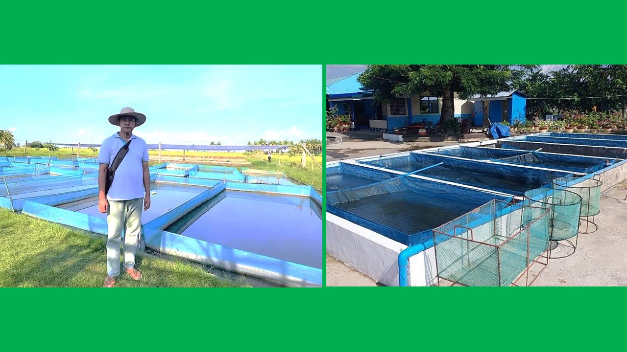 Isabela fish farm reels in success with LANDBANK support - RMN Networks