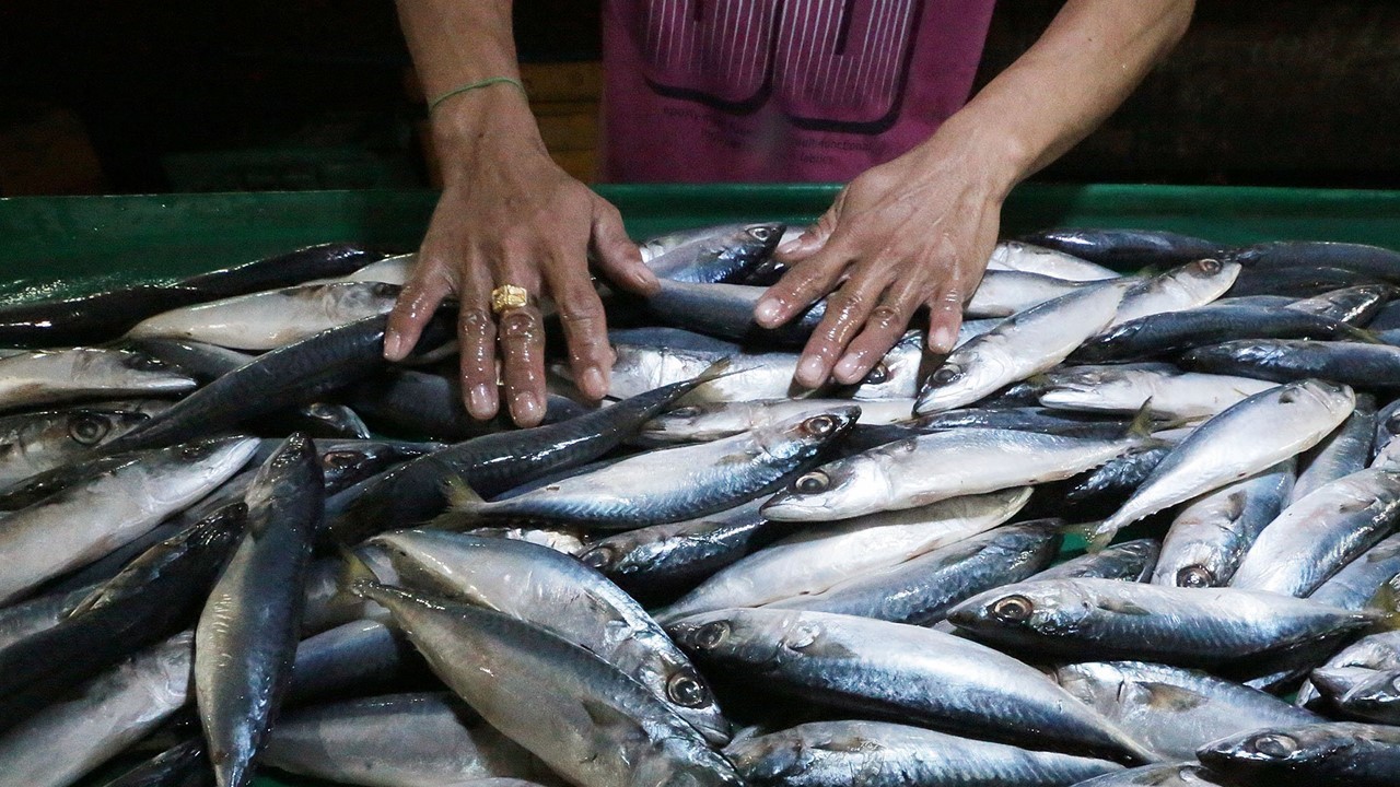 Pangulong Marcos, pinatitiyak sa BFAR na tutukan ang pagpapataas ng ...