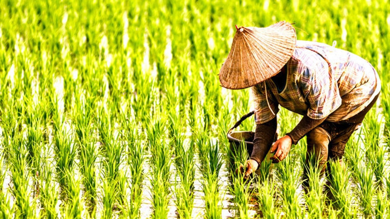 Pagtanggal ng taripa sa farm inputs at pagtaas ng taripa sa imported ...