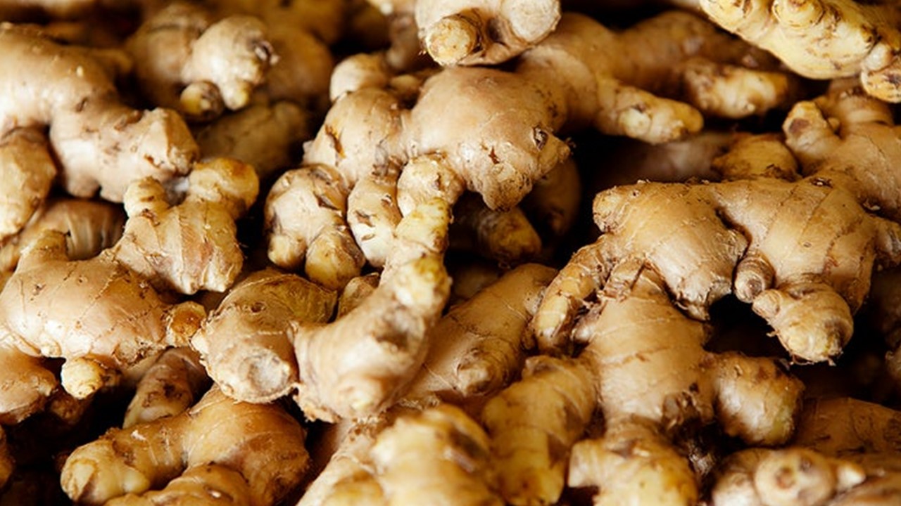 Presyo ng luya sa Nueva Vizcaya, bagsak na sa P20 kada kilo - RMN Networks