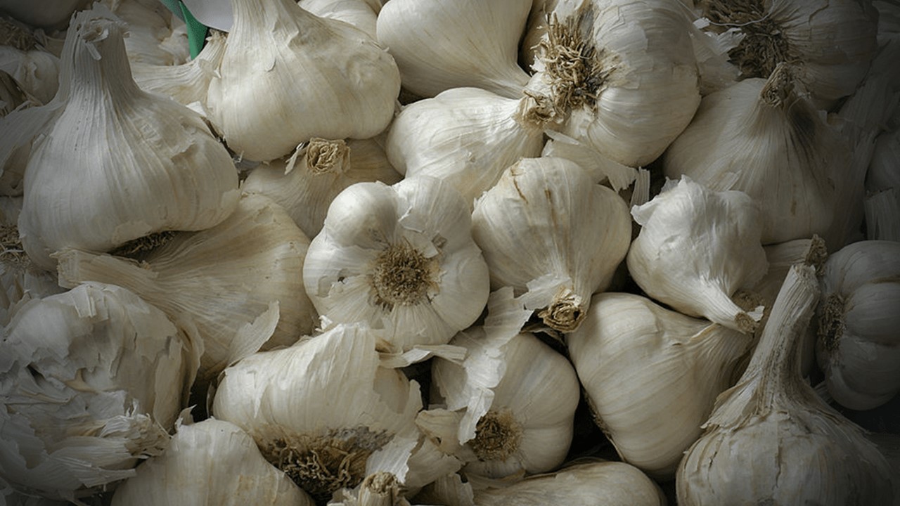 25 metriko tonelada ng bawang, pinangangambahang masayang sa Batanes ...