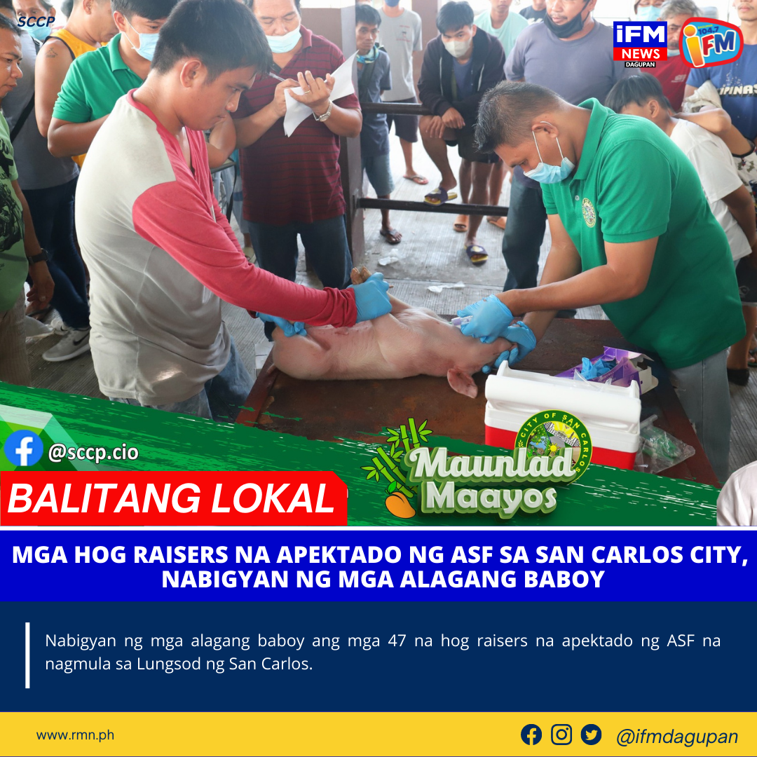 MGA HOG RAISERS NA APEKTADO NG ASF SA SAN CARLOS CITY, NABIGYAN NG MGA ...