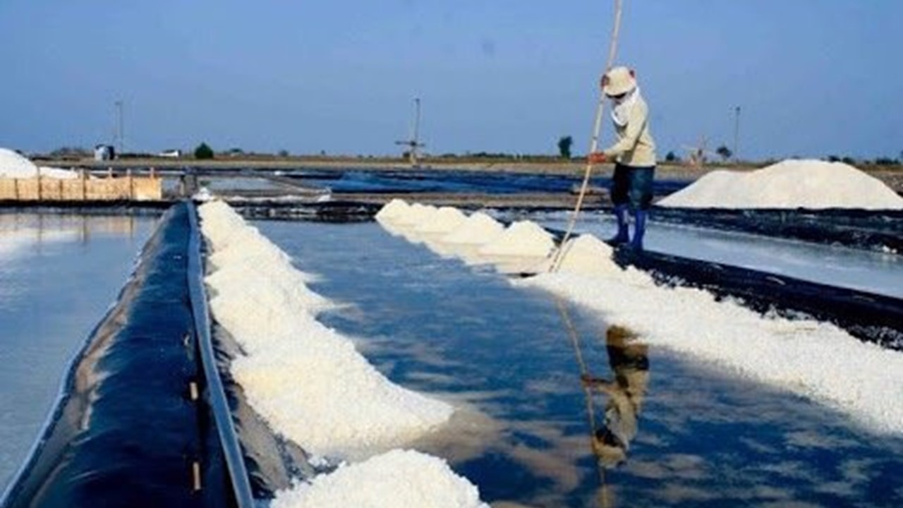 5-year Roadmap para sa pagbuhay sa local salt industry, isinulong ni ...