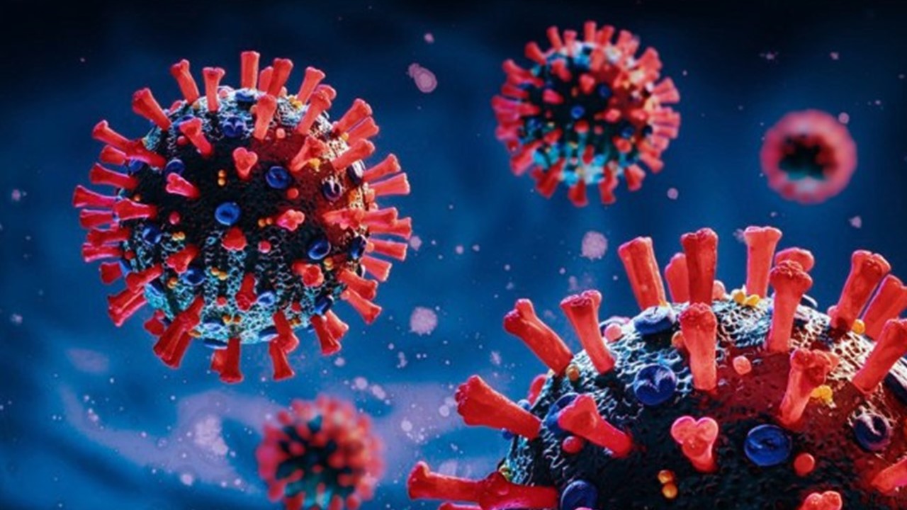 Positivity rate sa Metro Manila, pababa na; wave ng omicron subvariants ...