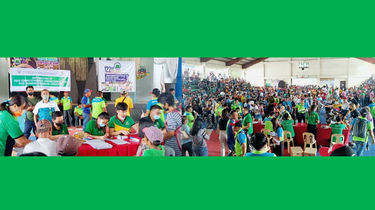 LANDBANK, DA deliver cash aid to 6,200 Cagayan rice farmers - RMN Networks