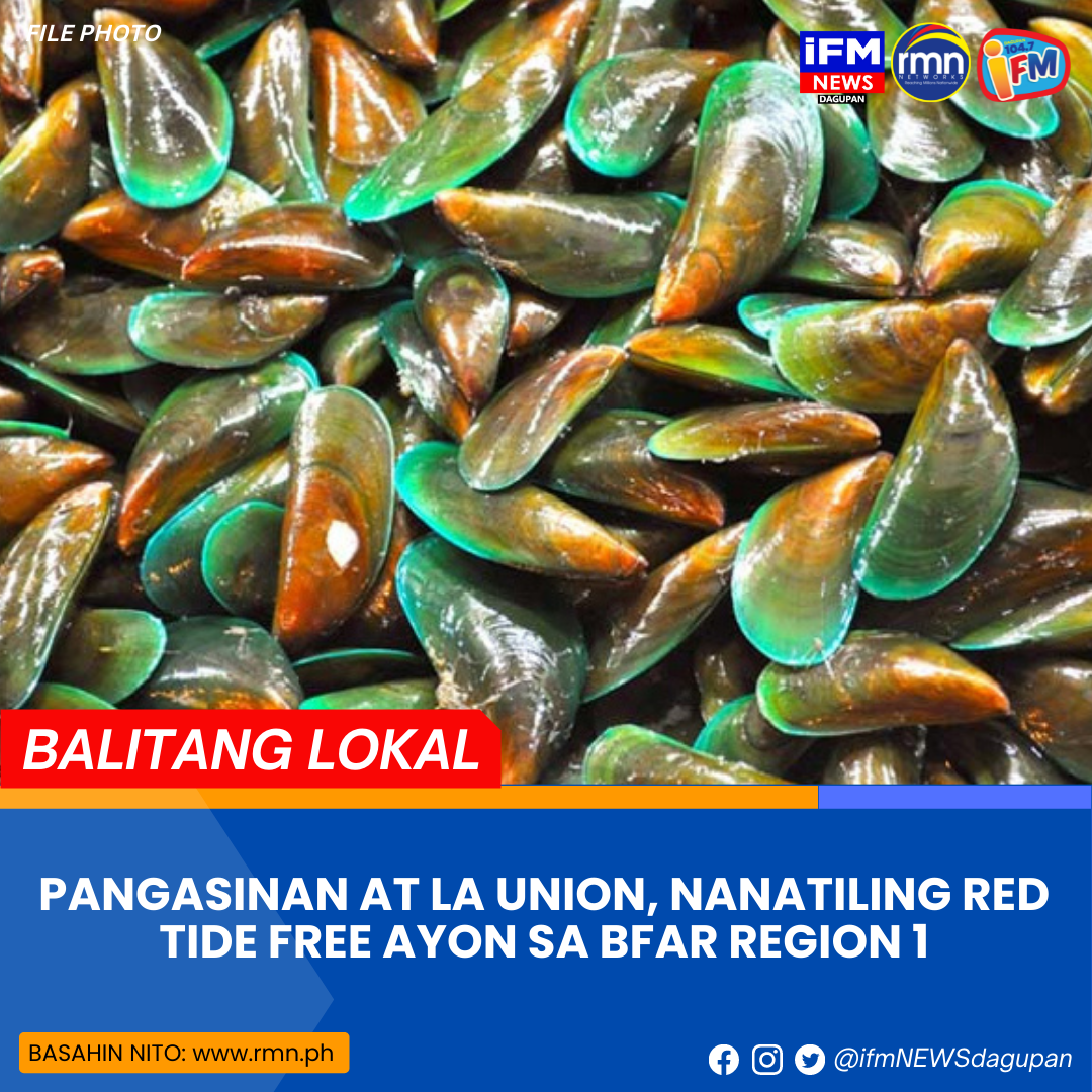 PANGASINAN AT LA UNION, NANATILING RED TIDE FREE AYON SA BFAR REGION 1 - RMN Networks