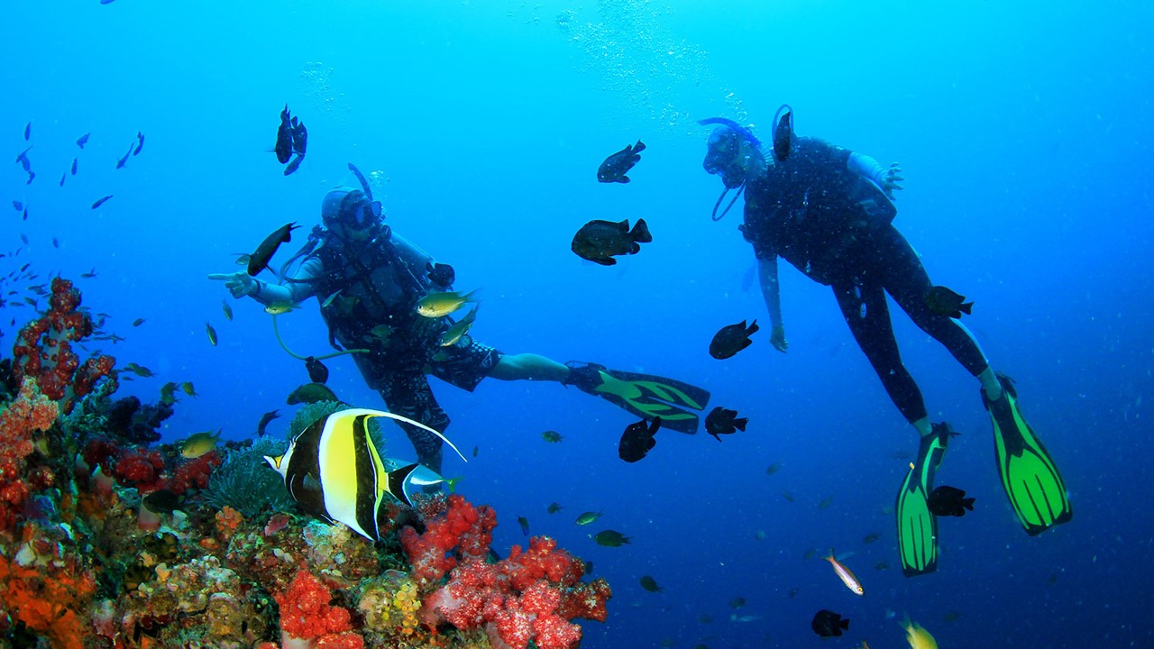 Pilipinas, muling tinuring na best dive destination sa buong mundo ...