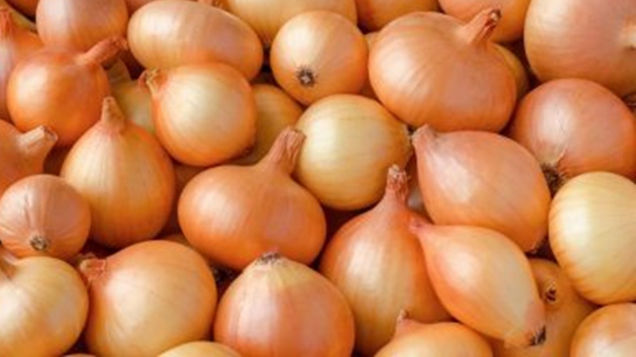 744 na kilo ng smuggled na dilaw na sibuyas, nasabat ng mga awtoridad ...