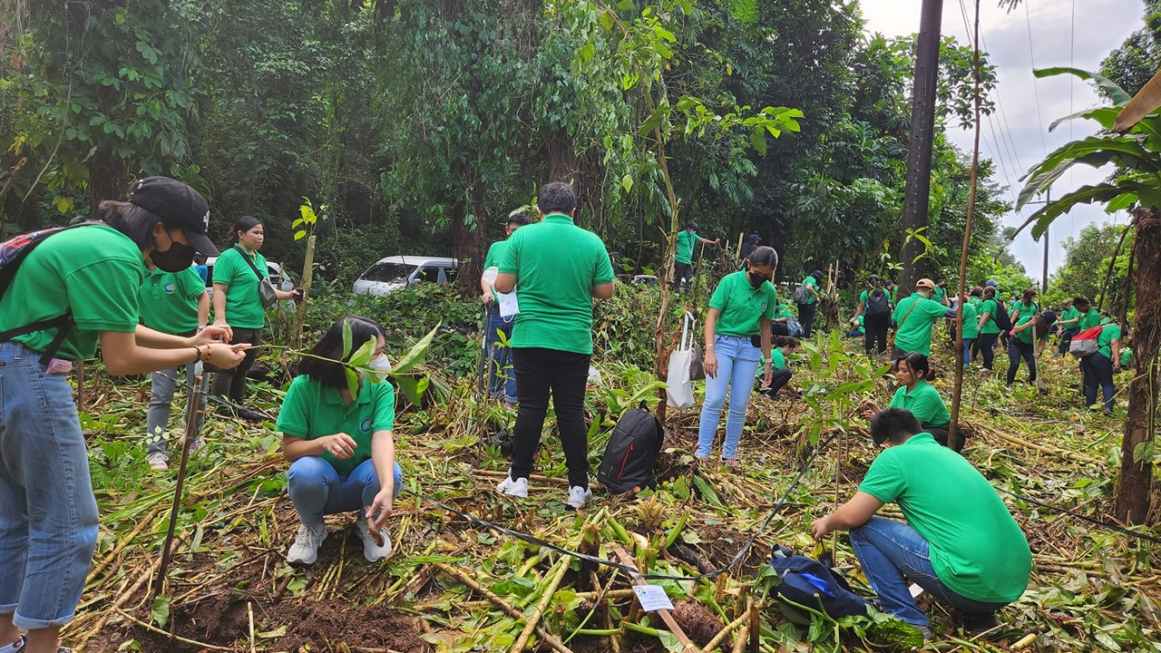 CCC, nagsagawa ng tree planting sa La Mesa Nature Reserve sa QC - RMN ...