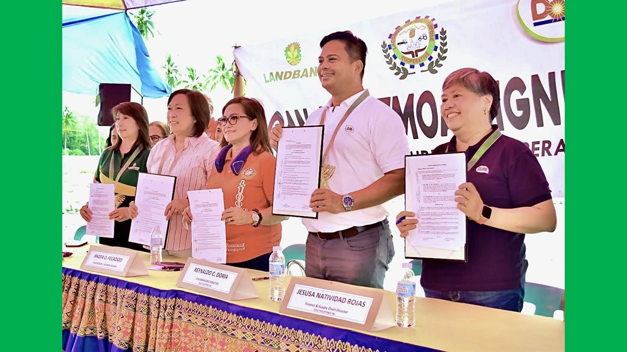 LANDBANK, South Cotabato co-op join hands anew to boost pineapple ...