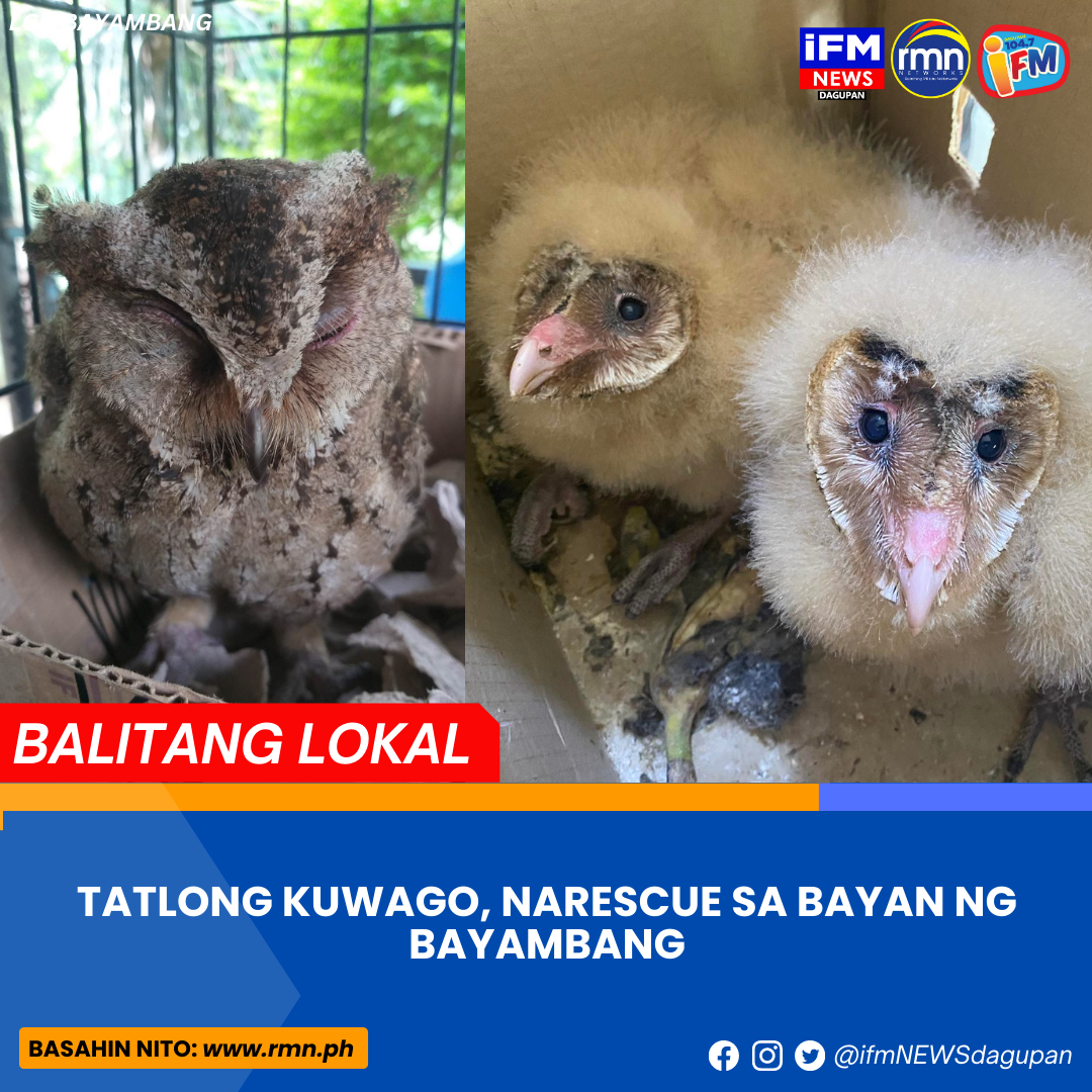 TATLONG KUWAGO, NARESCUE SA BAYAN NG BAYAMBANG - RMN Networks