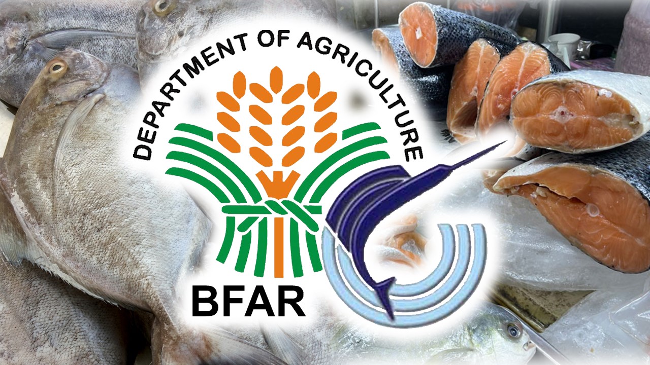 Senado, inatasan ang BFAR na ayusin ang polisiya sa importasyon ng isda ...