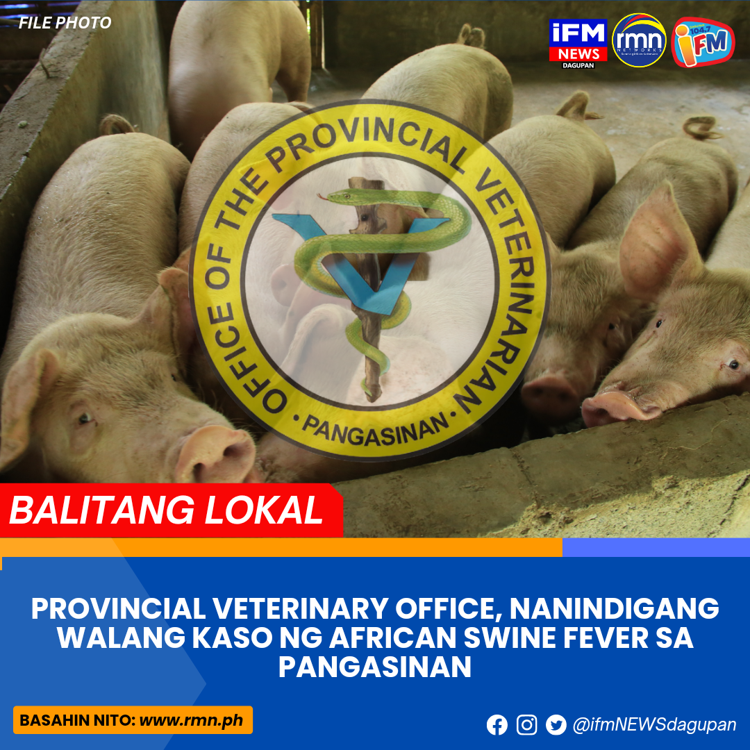 PROVINCIAL VETERINARY OFFICE, NANINDIGANG WALANG KASO NG AFRICAN SWINE FEVER SA PANGASINAN - RMN ...