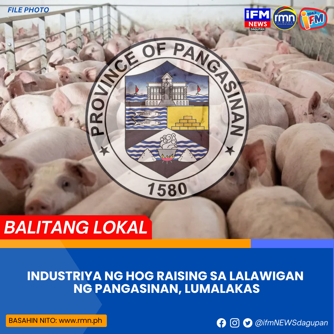 INDUSTRIYA NG HOG RAISING SA LALAWIGAN NG PANGASINAN, LUMALAKAS - RMN ...
