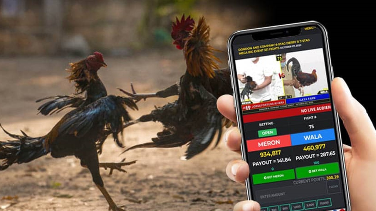 Dalawa sa tatlong pulis na sangkot sa pagdukot sa isang e-sabong master agent sa Laguna, sumuko ...