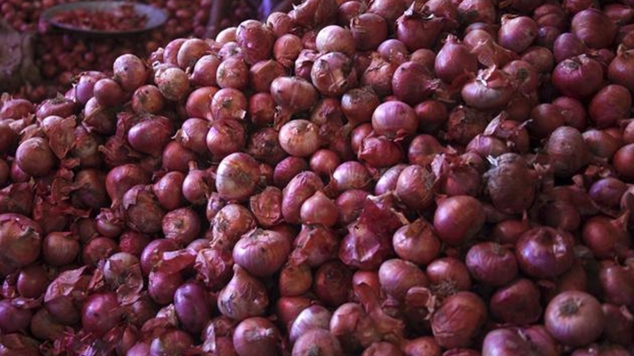 Mga magsasaka sa Mindanao, pinatuturuan na magparami ng sibuyas - RMN ...