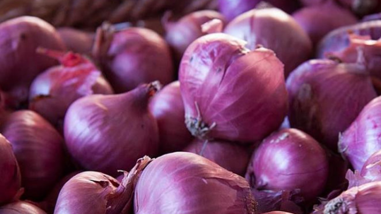 Gobyerno, gagawa ng mga programa para matulungan ang mga magsasakang ...