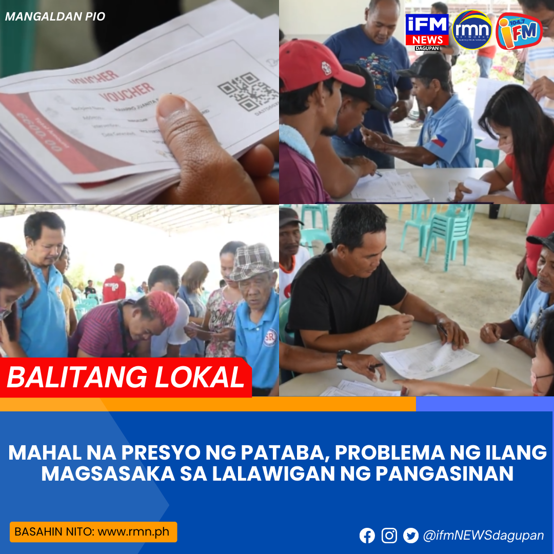 MAHAL NA PRESYO NG PATABA, PROBLEMA NG ILANG MAGSASAKA SA LALAWIGAN NG PANGASINAN - RMN Networks
