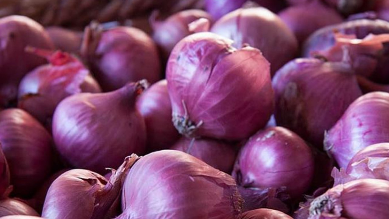 Pagdating ng mga imported na sibuyas at inaasahang anihan, pinagbatayan ...