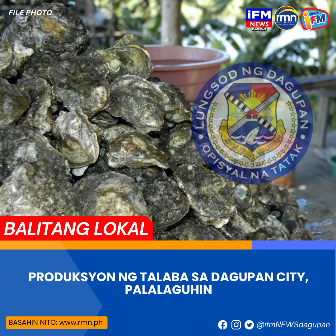 PRODUKSYON NG TALABA SA DAGUPANCITY, PALALAGUHIN - RMN Networks
