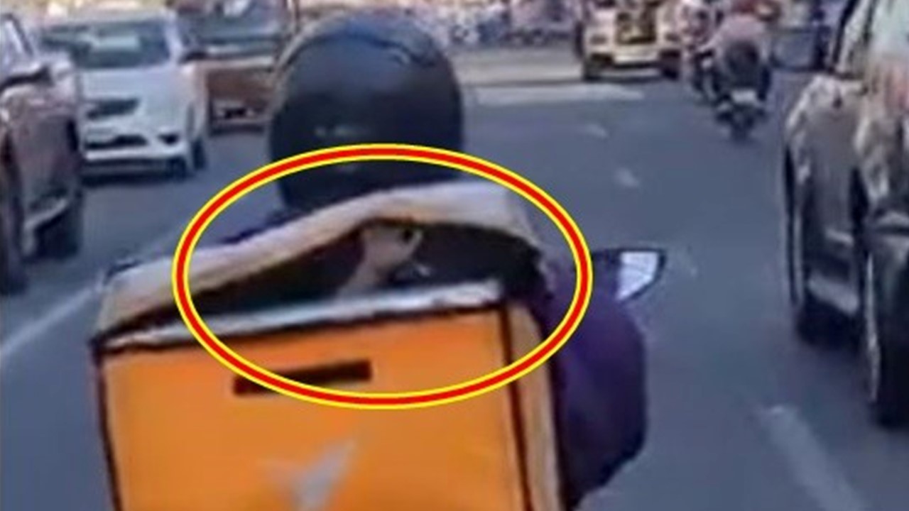 Bisa ng driver’s license ng rider na may angkas na batang nakasilid sa ...