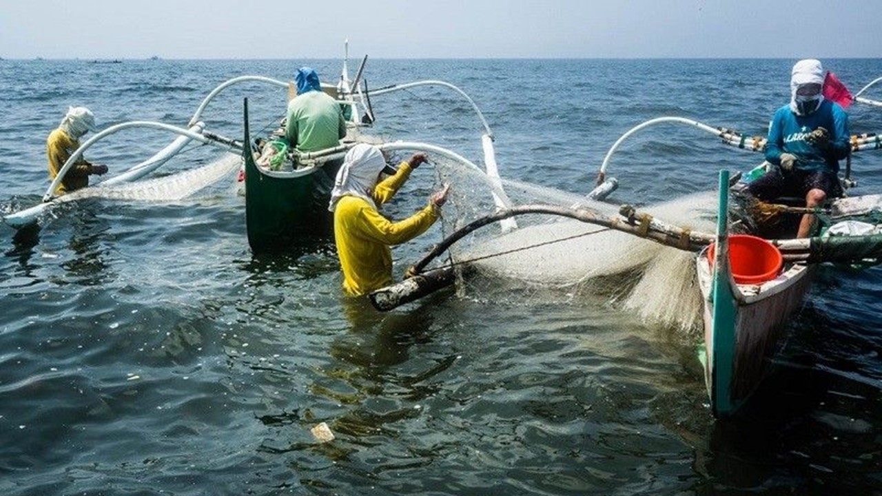 Tatlong buwan na fishing ban sa Zamboanga Peninsula, inalis na ng BFAR ...