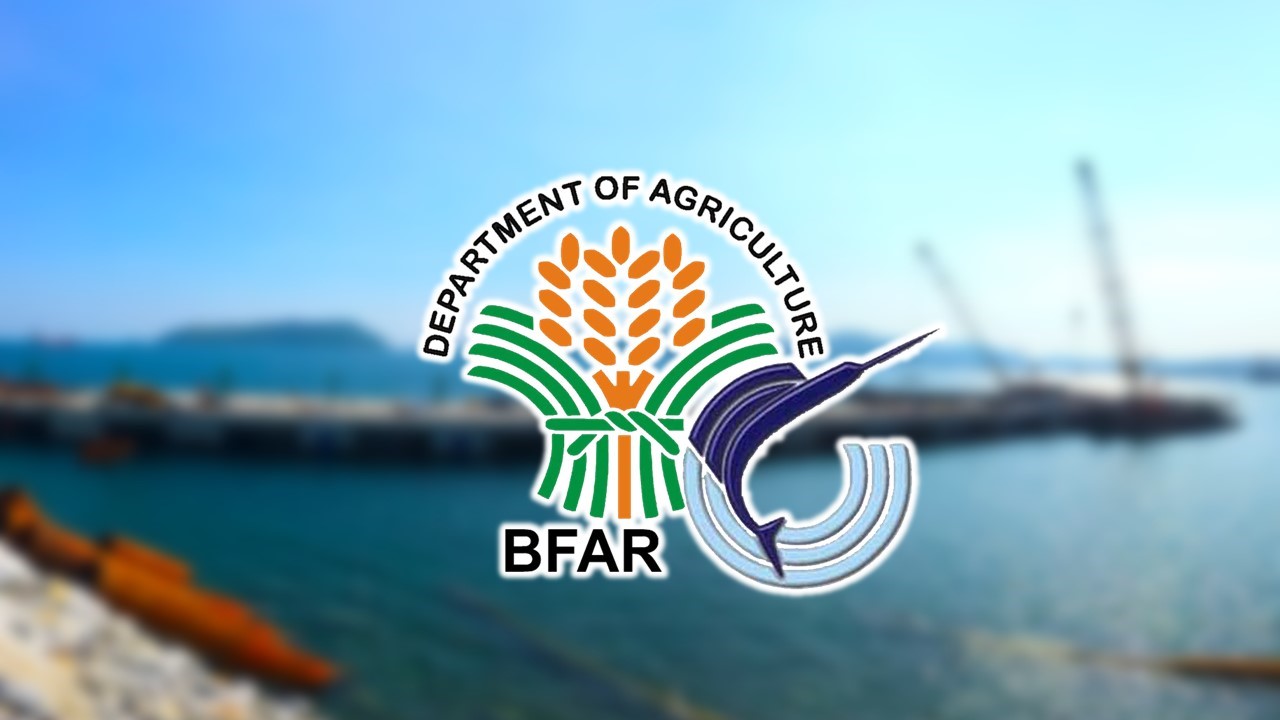 BFAR, inirekomendang manatili ang fishing ban sa mga munisipalidad na apektado ng oil spill sa ...
